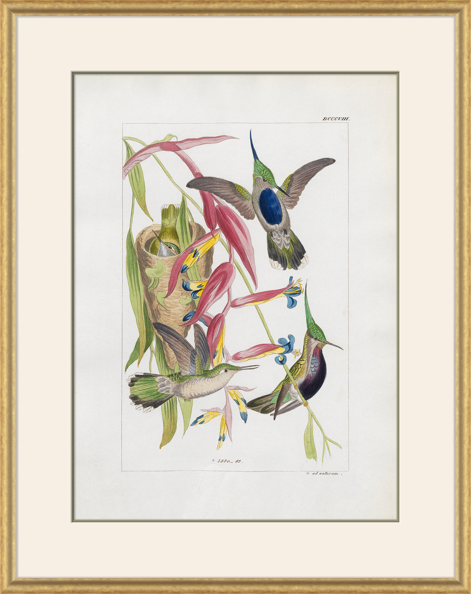 Soicher Marin Hummingbirds | Wayfair