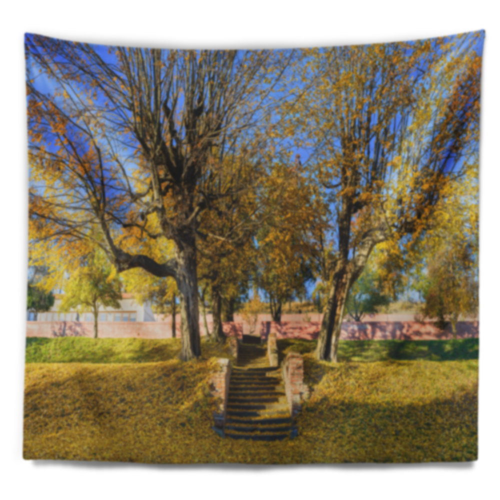 East Urban Home Stone Stairs in Park in Fall Tapestry | Wayfair