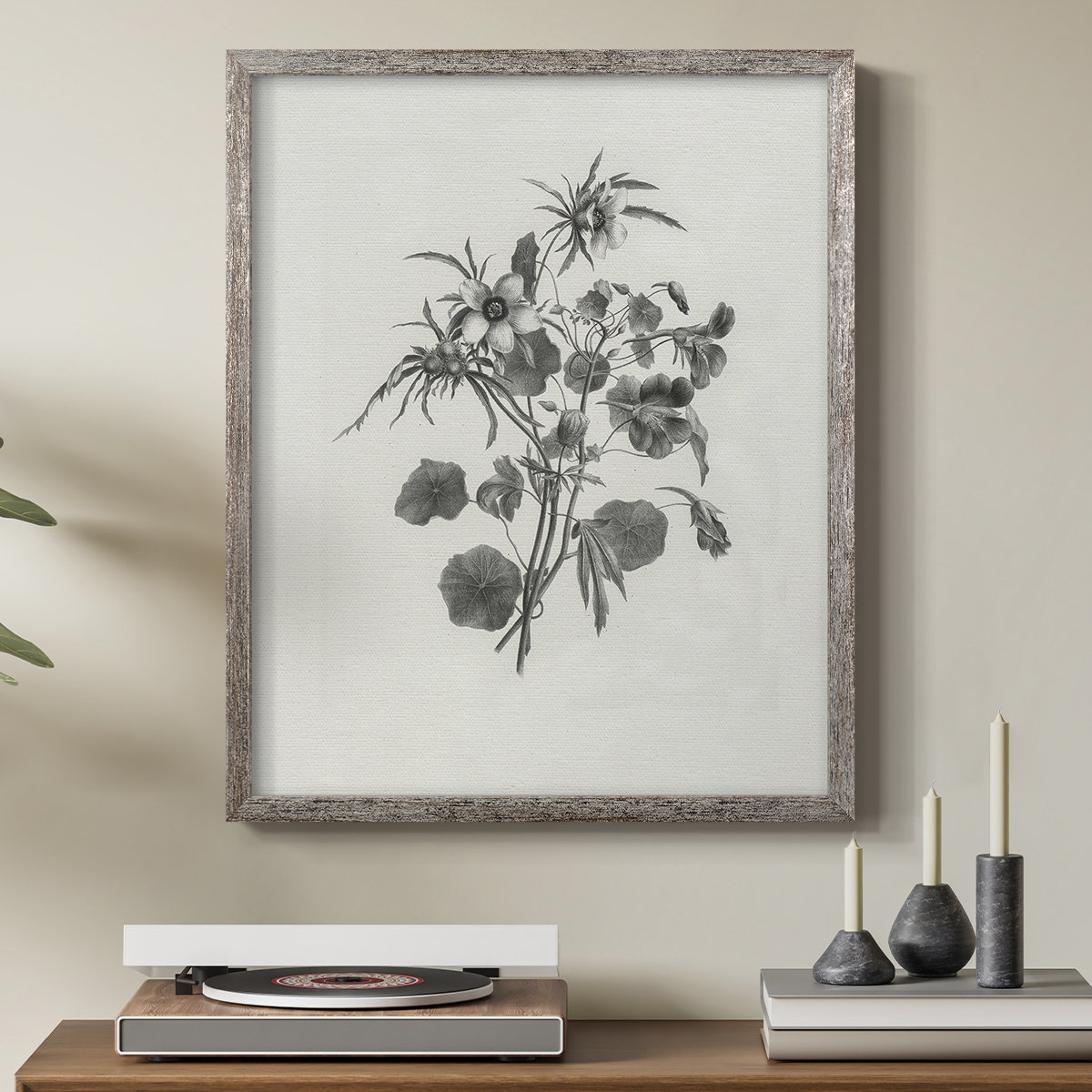 Winston Porter Vintage Floral Print CCCXXXVI Framed Print - Solid Wood ...