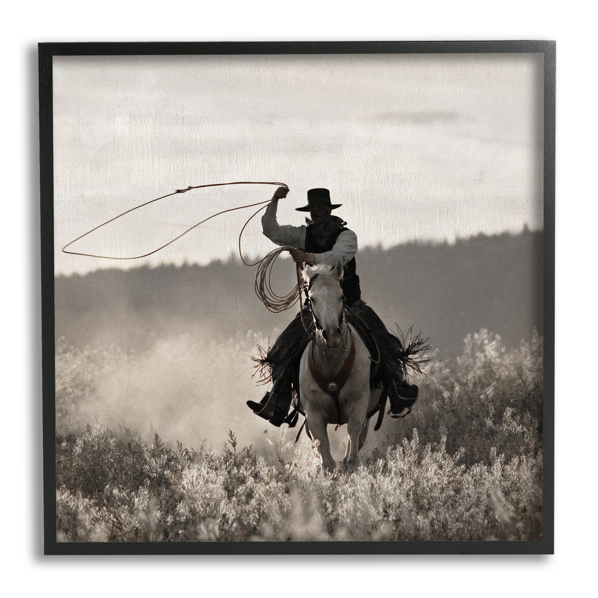 Stupell Industries Cowboy Lasso Western Photography by Danita Delimont ...