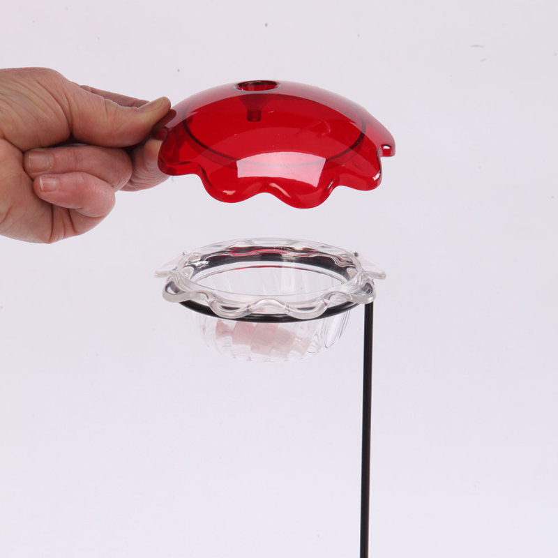 Birds Choice Nectar Hummingbird Plant Stake Feeder & Reviews | Wayfair