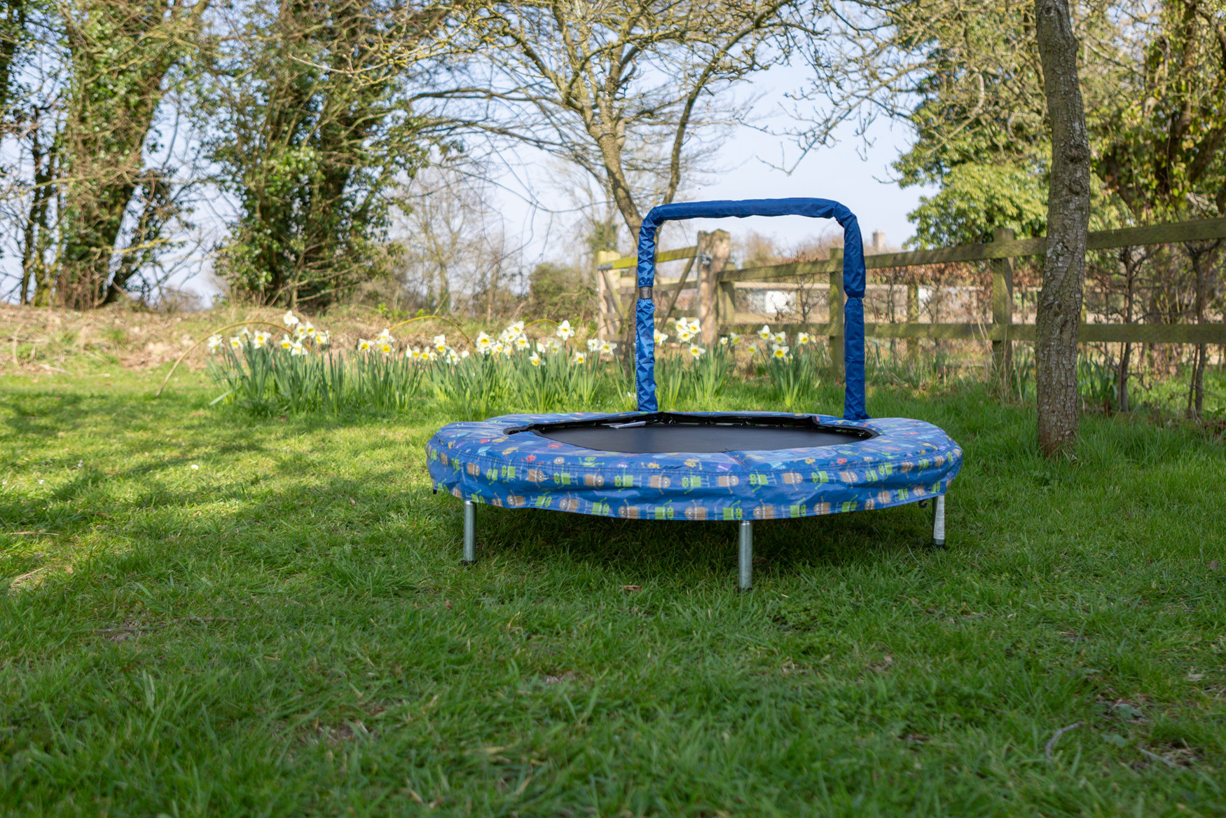 Freeport Park 48" JumpKing Blue Robot Mini Trampoline & Reviews ...