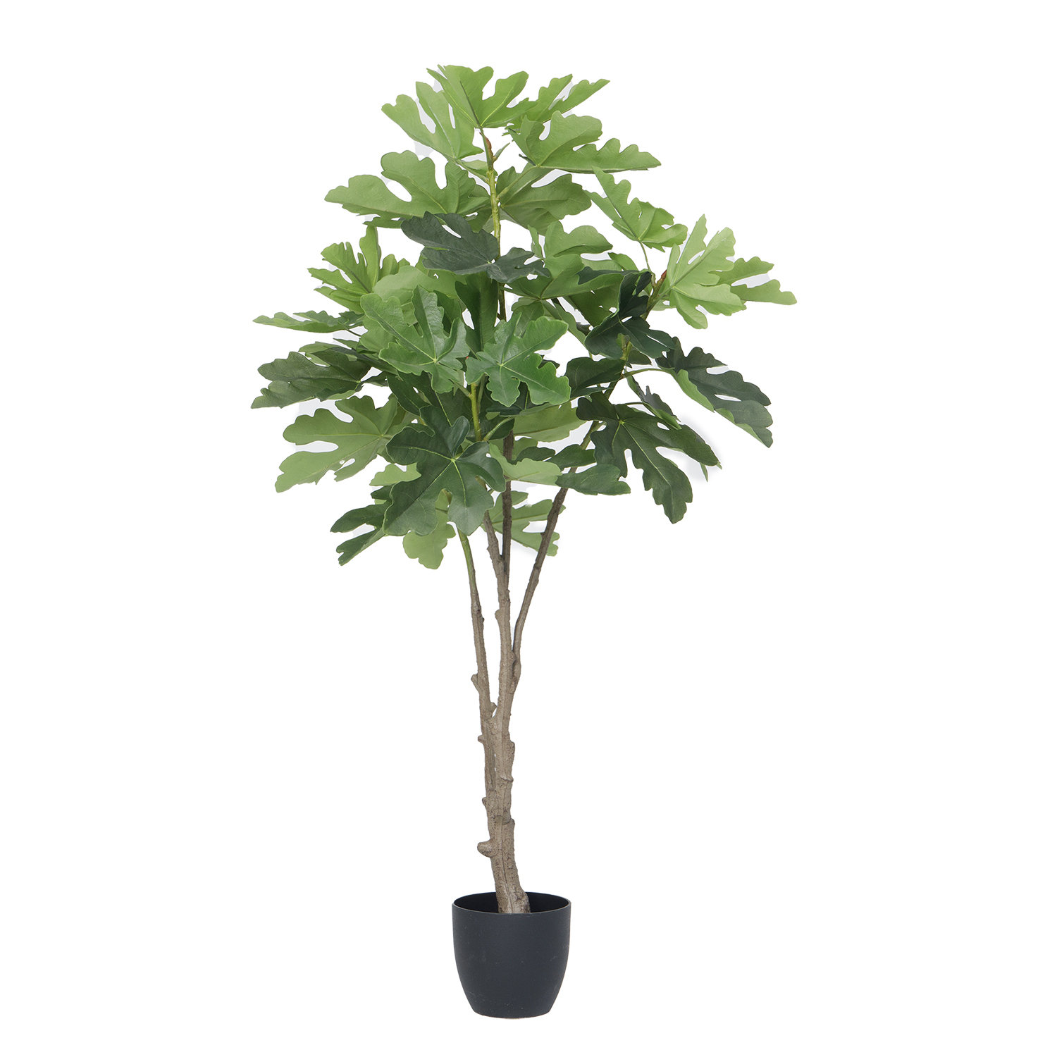 Primrue 59" Artificial Sycamore Tree in Planter & Reviews | Wayfair