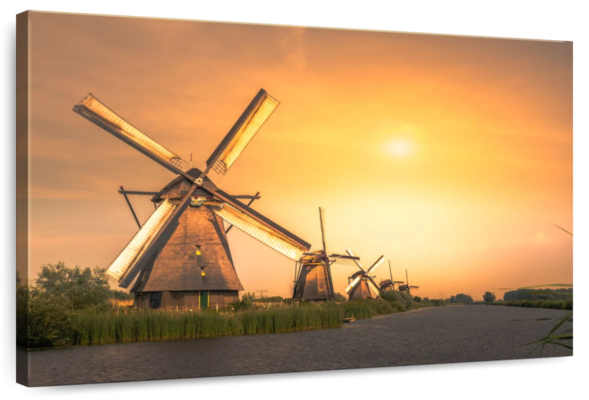 Elephant Stock Dutch Windmill | Wayfair