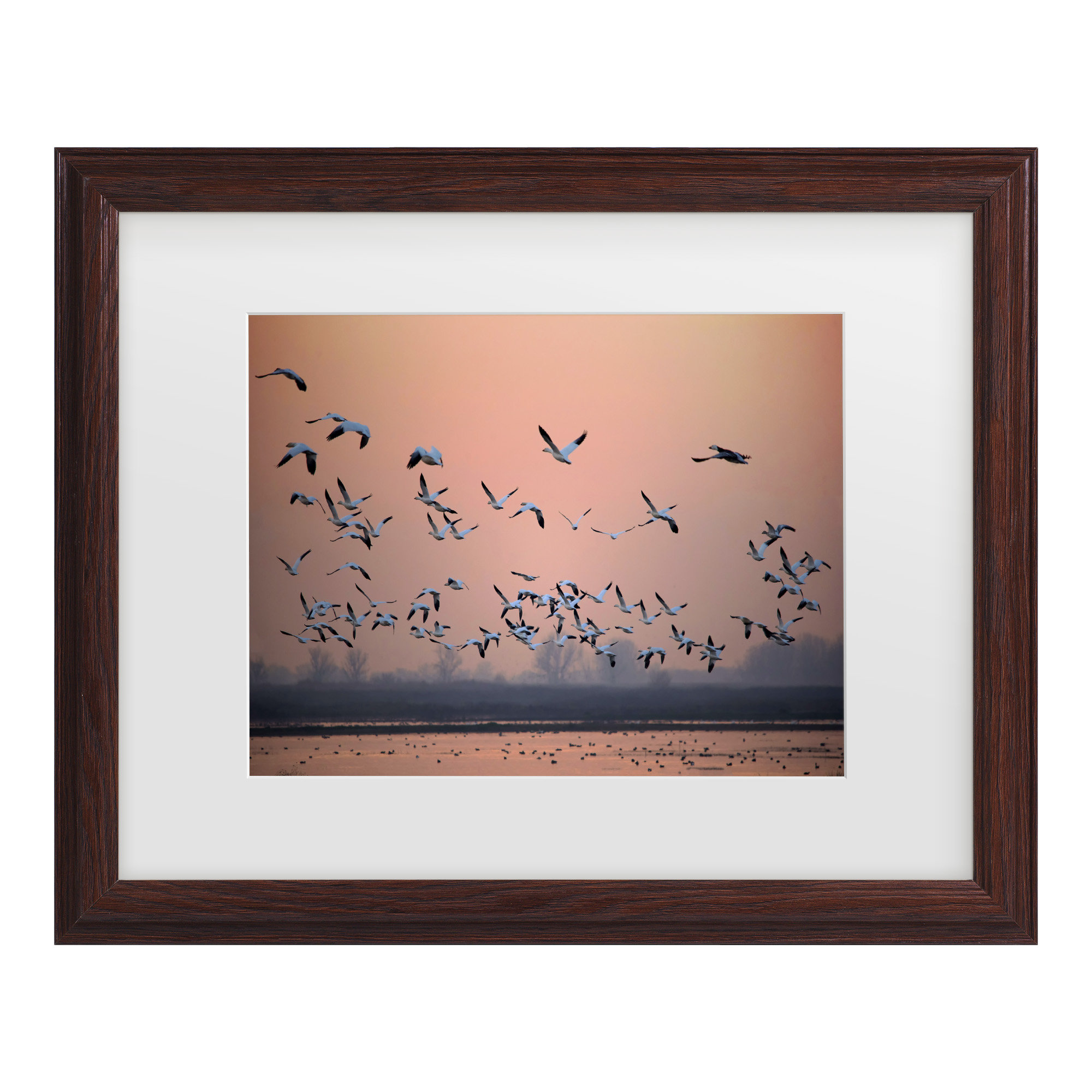Winston Porter Hao Jiang Toward The Sun Matted Framed Art | Wayfair