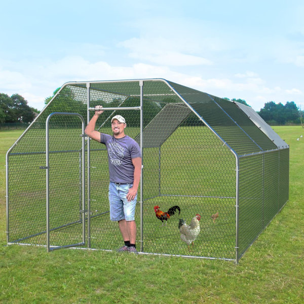 Archie & Oscar™ Brightling Chicken Run with Wire Mesh & Reviews | Wayfair