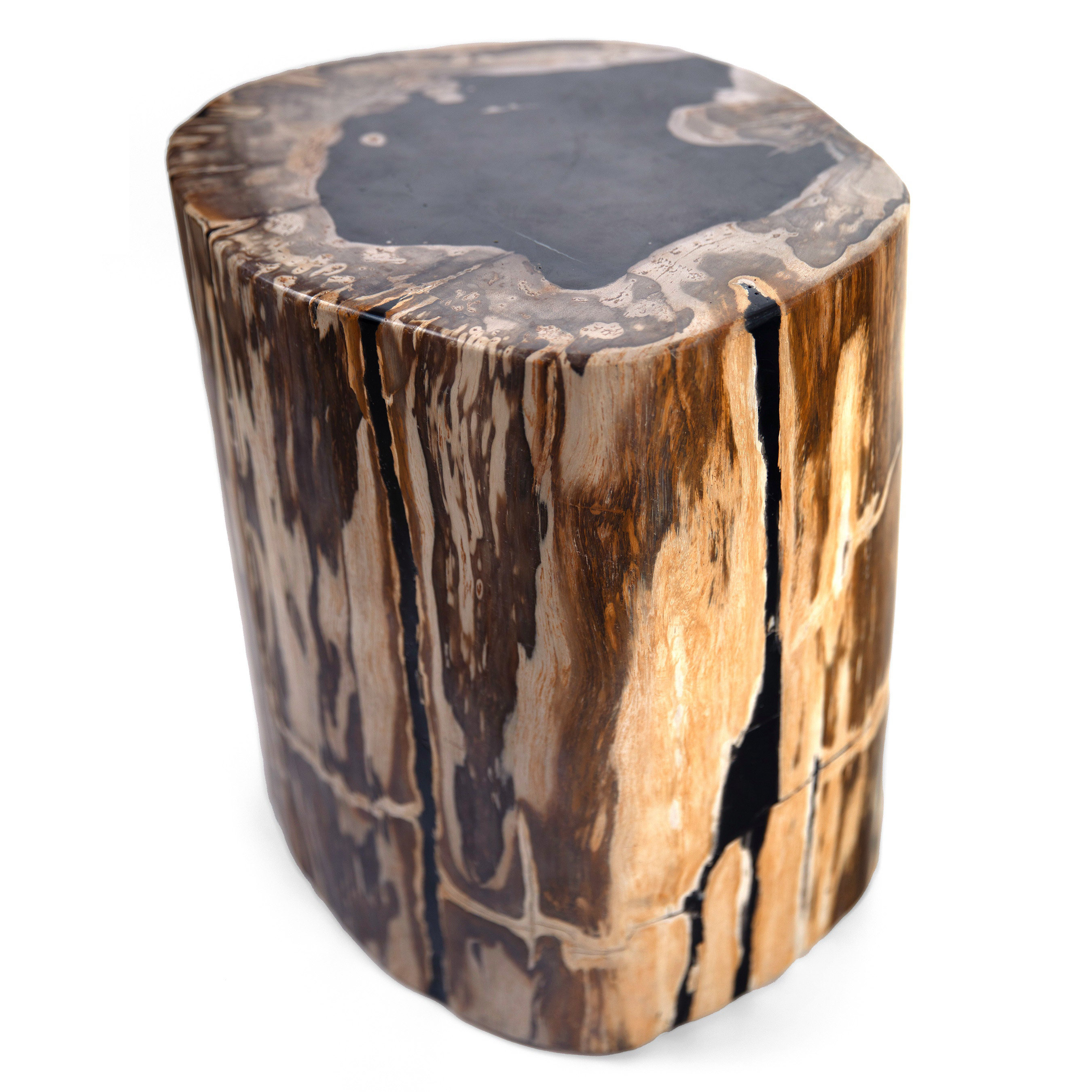 Daribali Design Fossil Relics End Table | Wayfair
