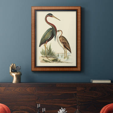 GlobalDesigns Water Birds III Framed On Paper Graphic Art | Wayfair