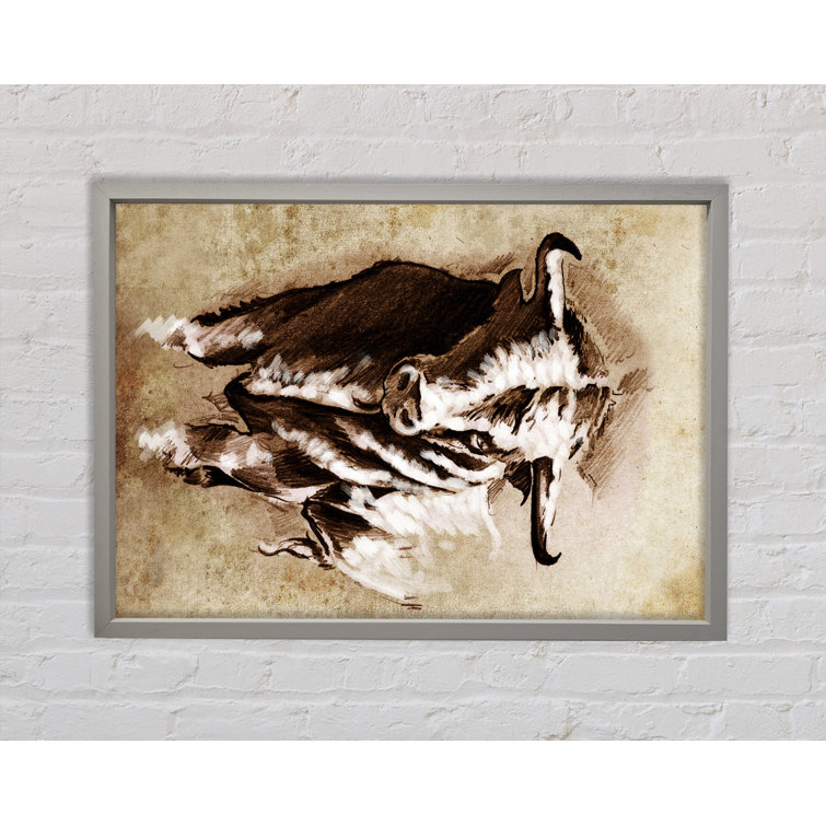 Bright Star Bull Stare - Single Picture Frame Art Prints on Canvas ...