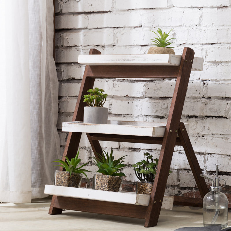 Arlmont & Co. Kristy Indoor Countertop 3 Tier Plant Stand Shelf | Wayfair