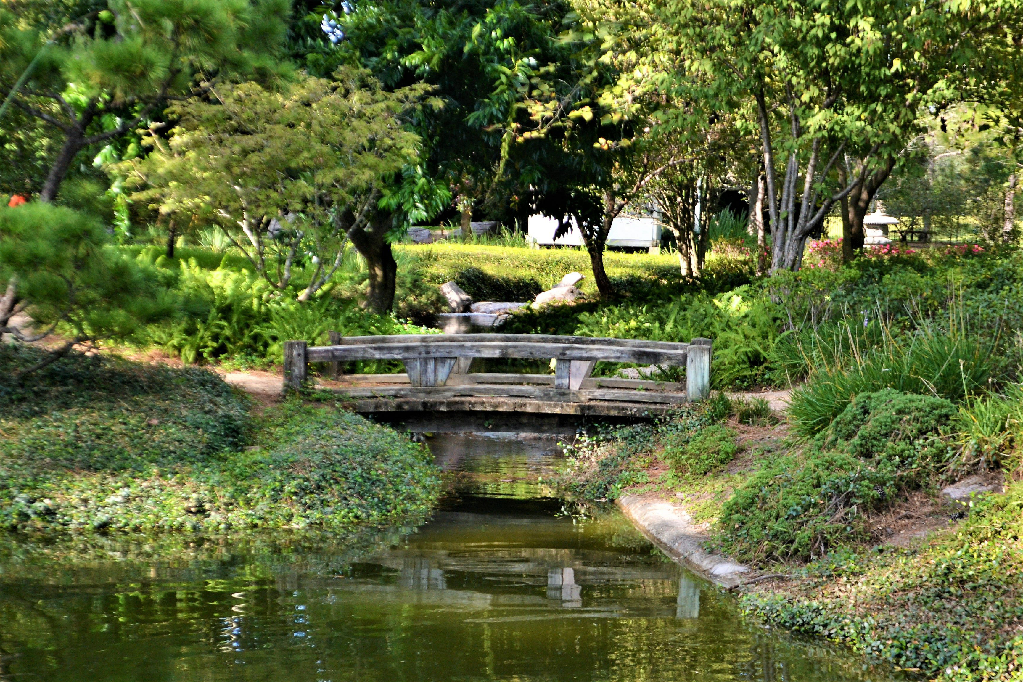 Ebern Designs Momodou Japanese Garden, Texas by - Wrapped Canvas ...