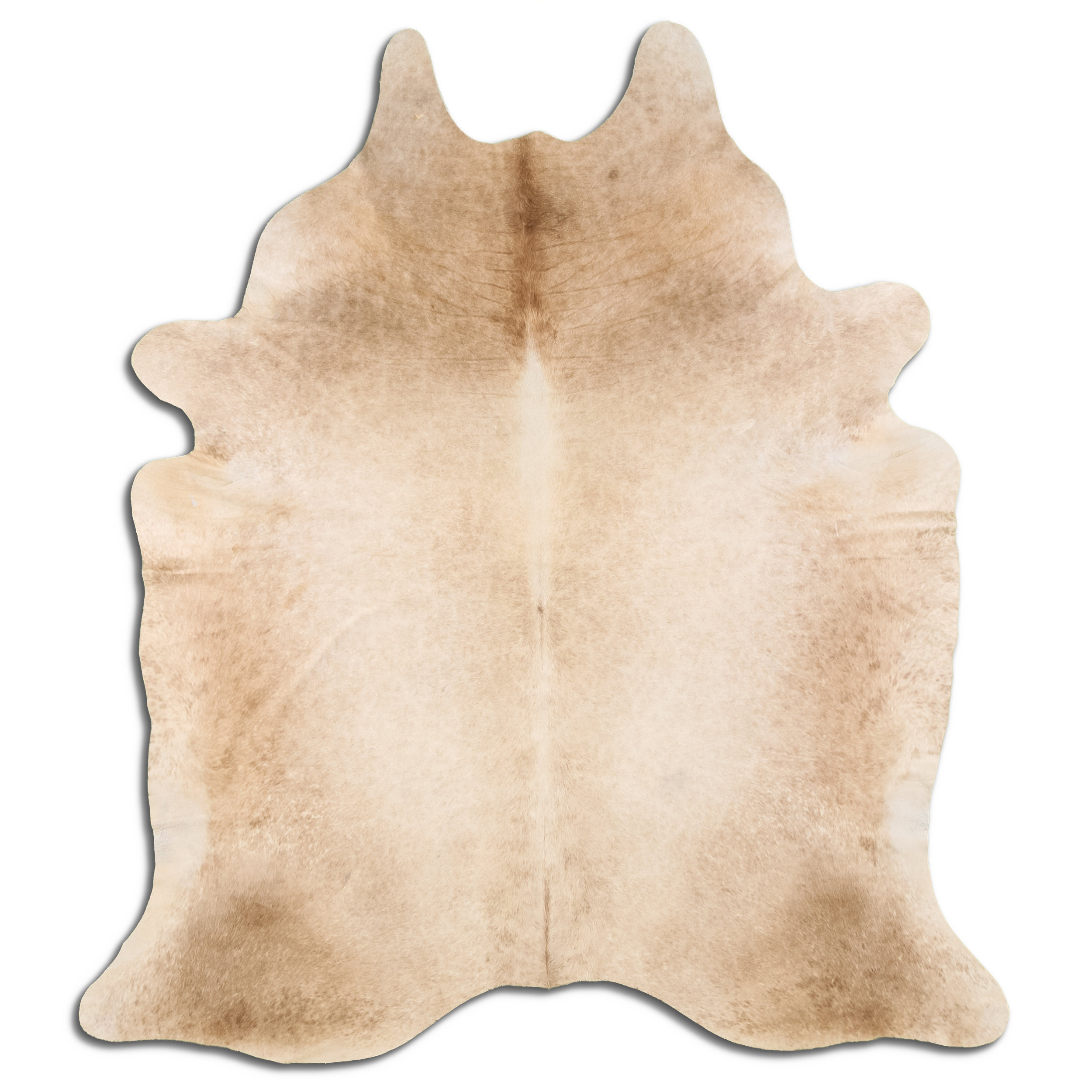 Union Rustic Eakin Animal Print Handmade Cowhide Caramel Area Rug ...