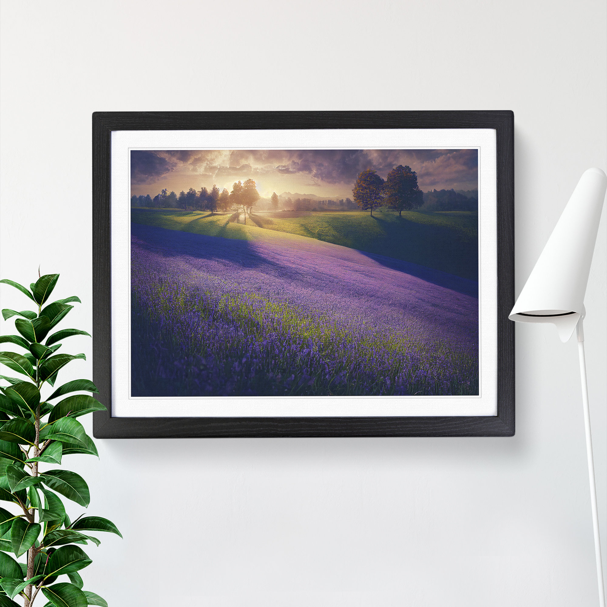 17 Stories Majestic Bluebell Field - Picture Frame Painting | Wayfair.ie