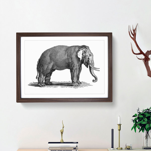 East Urban Home Elephant in Black & White by George Shaw - Picture ...