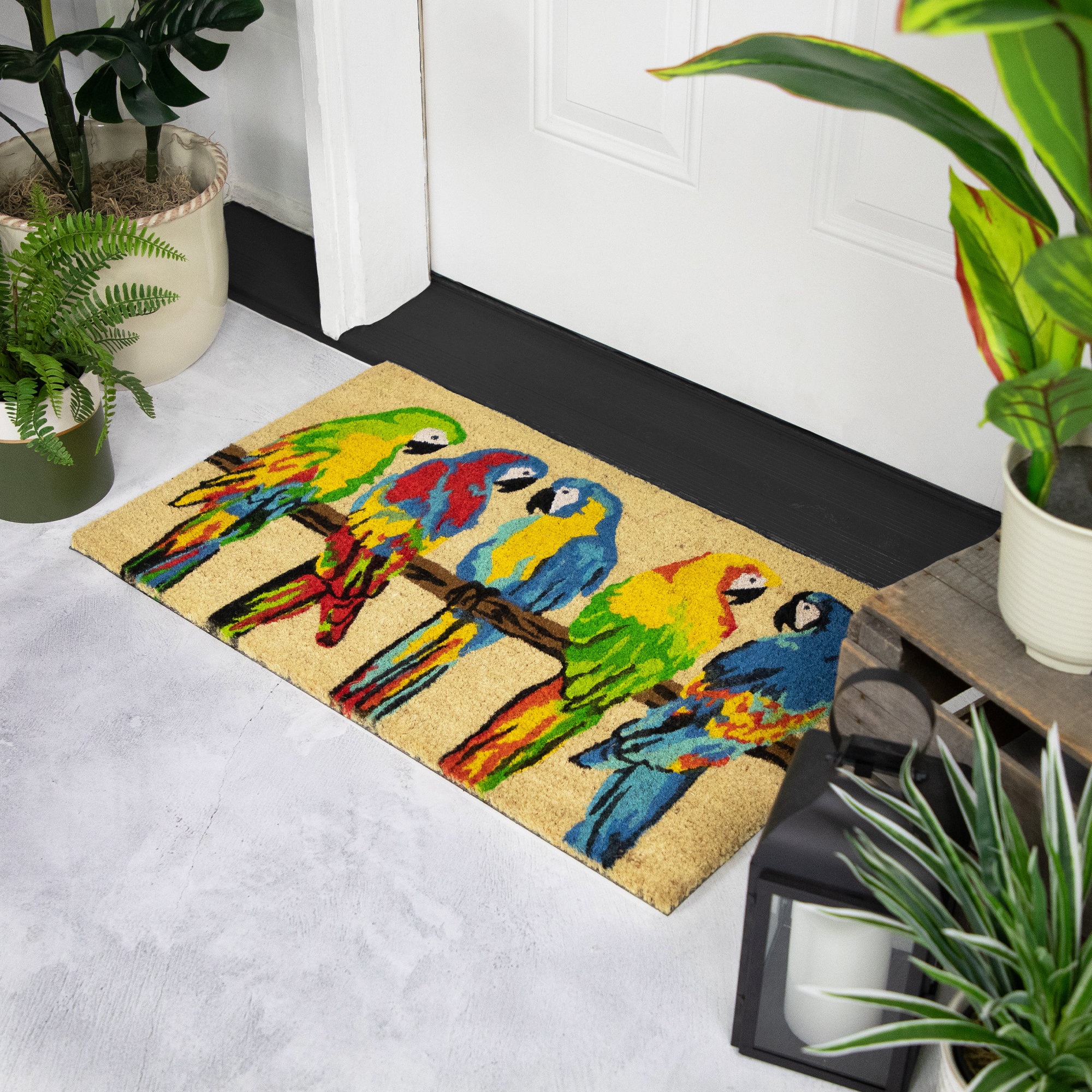 Northlight Seasonal Parrots 30" x 18" Outdoor Doormat | Wayfair