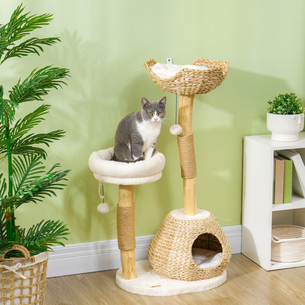 Archie & Oscar™ Cat Tree for Indoor Cats, 41" Wooden Cat Tower with 2 ...
