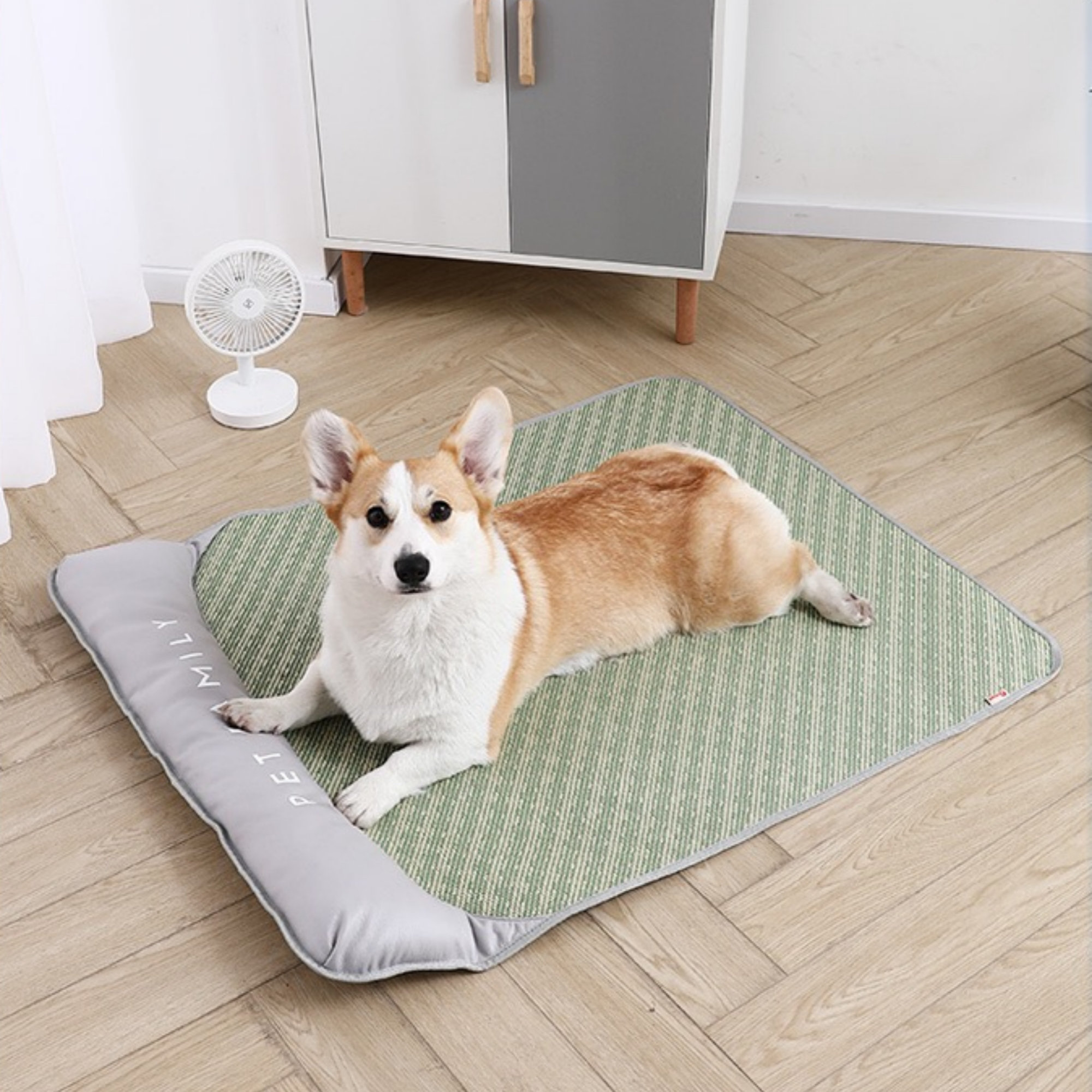 Tucker Murphy Pet™ Cooler With Pillow Green (2 Extra Large) - Wayfair ...