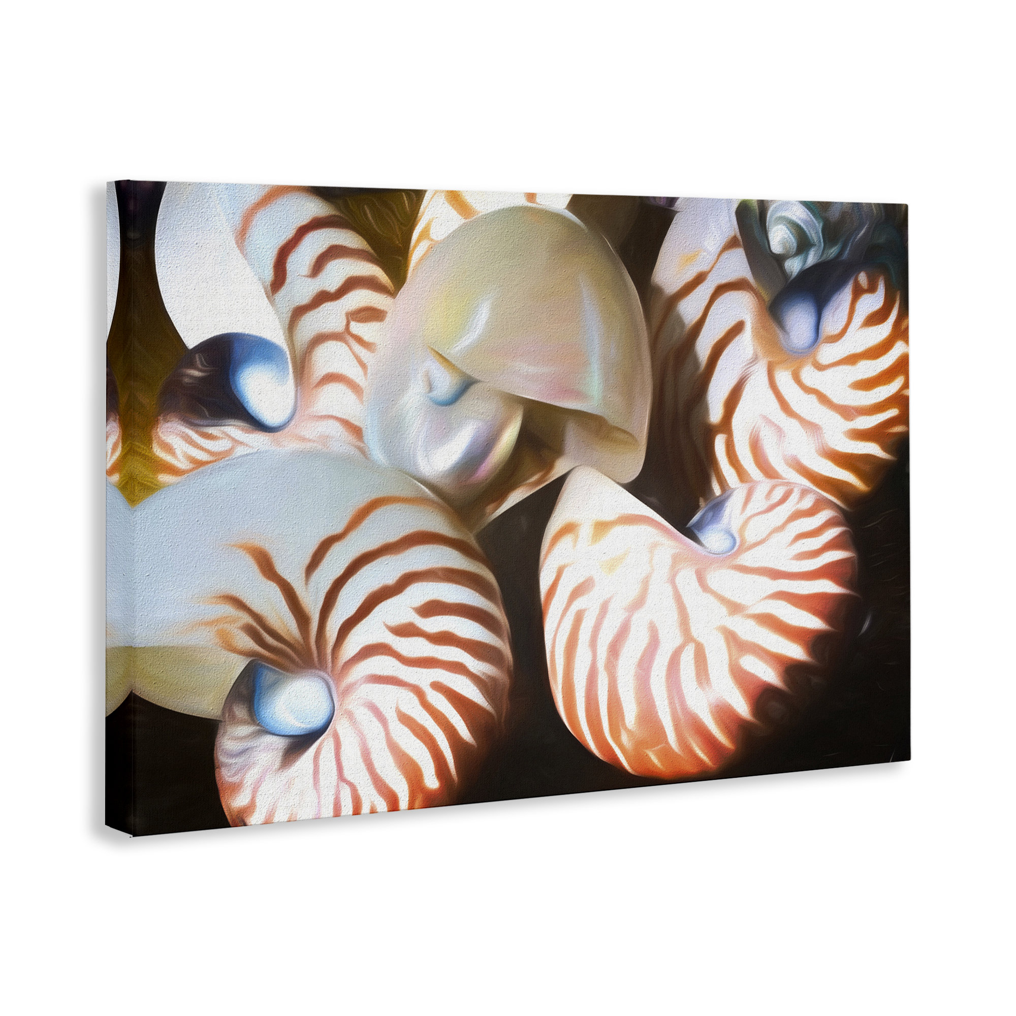 Highland Dunes Nautilus Shells Cluster Canvas Wall Art by Graffi*tee ...