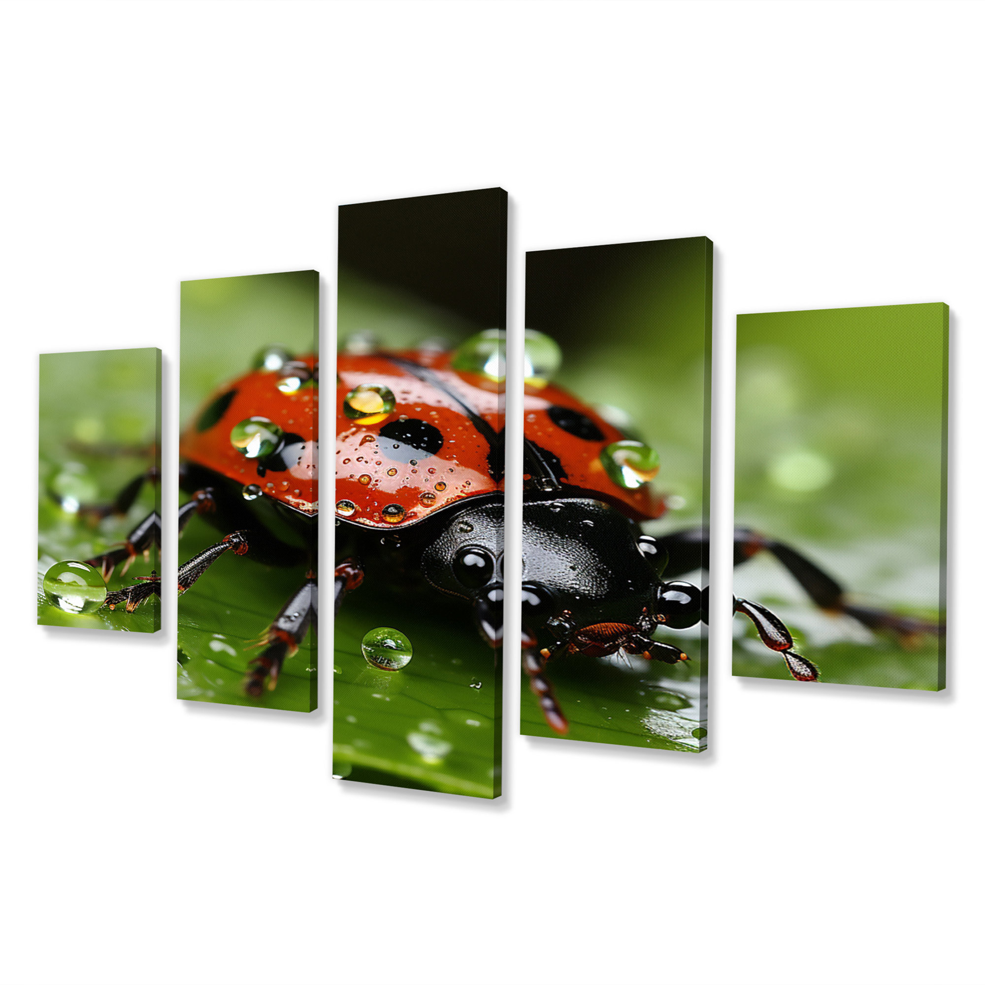 Latitude Run® Portrait Of Lady Bug Macro Photography - Insects & Bugs ...