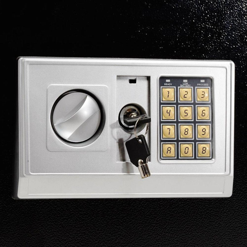Ktaxon Keypad Digital Steel Safe Box with Dual-Lock & Reviews | Wayfair