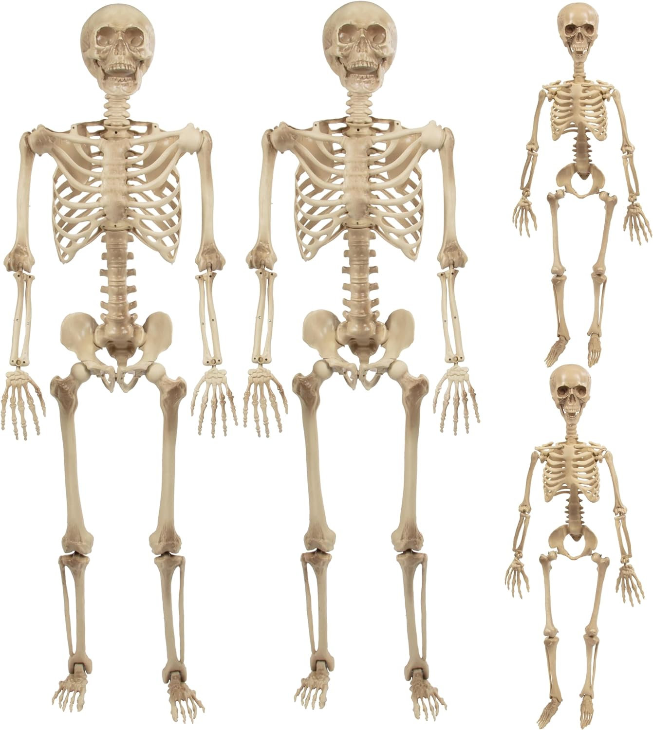 The Holiday Aisle® Posable Life Size Human Skeleton Family 4Pk- 2 Adult ...