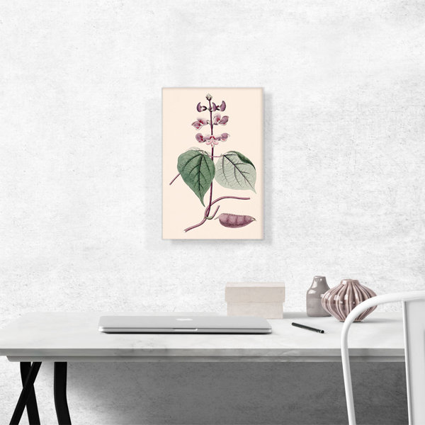 ARTCANVAS Hyacinth Bean Vine Canvas Art Print By Sydenham Edwards | Wayfair