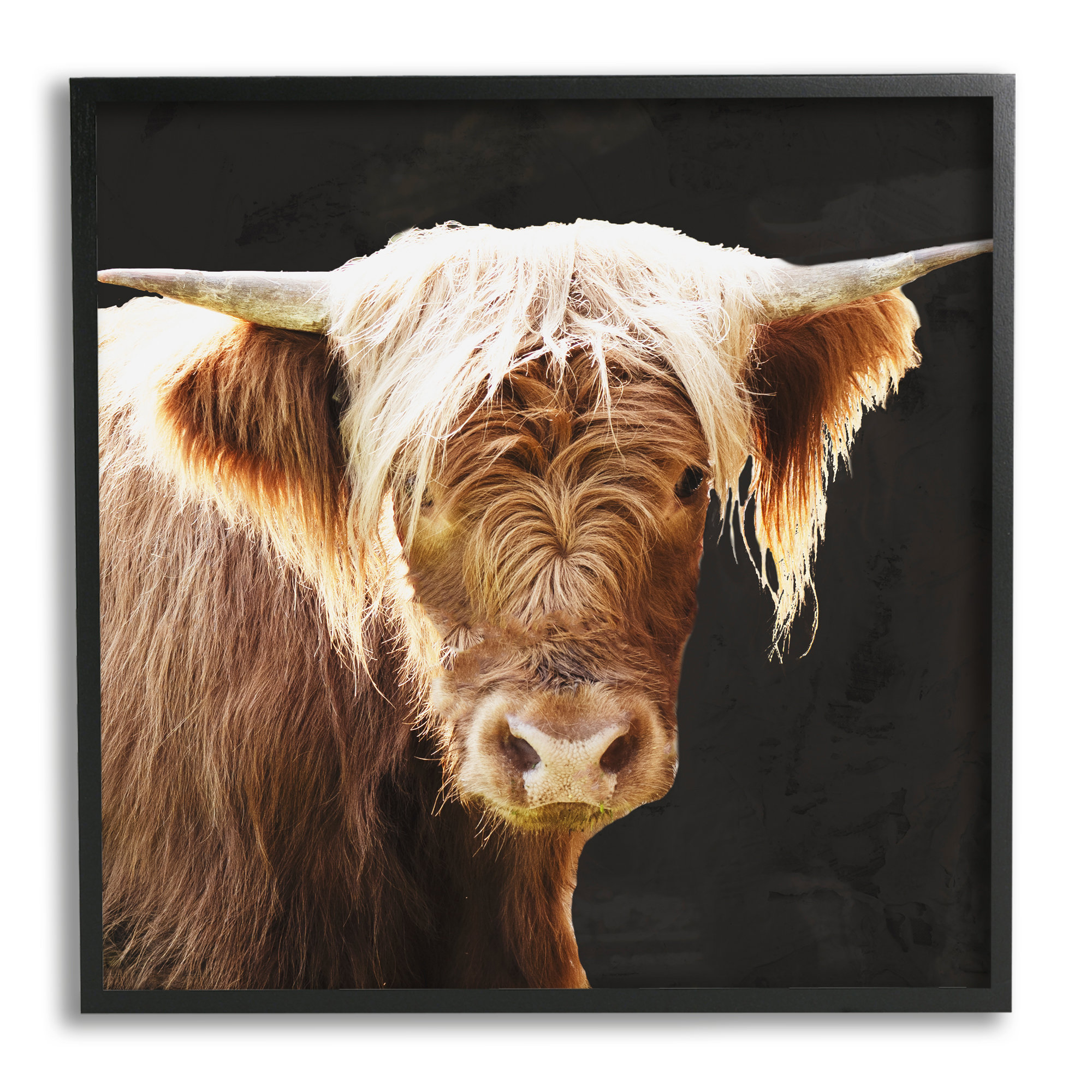 Stupell Industries Brown Wooly Cattle by Emily Navas Print | Wayfair