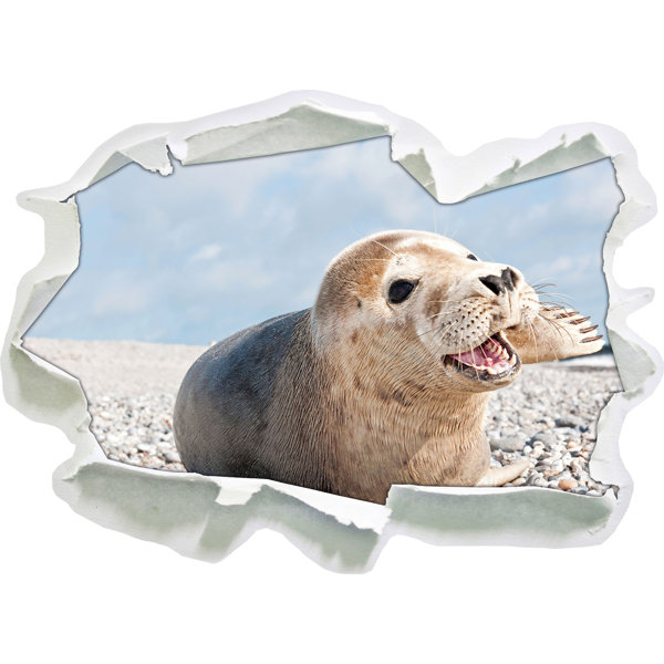 East Urban Home Wandtattoo Niedliche Robbe am Steinstrand | Wayfair.de