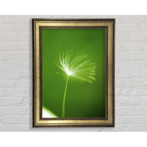 Bright Star White Whisper Sunlight - Single Picture Frame Art Prints ...