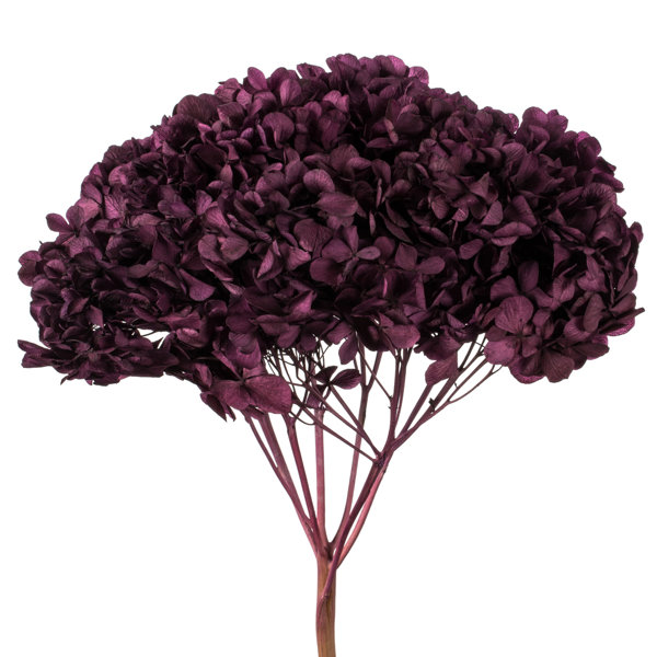 Loon Peak® Natural Botanicals 15" Hydrangea with Multiple Branch ...