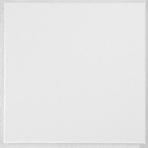 Armstrong Ceilings Washable White 1 ft. x 1 ft. Drop-In Mineral Fiber ...