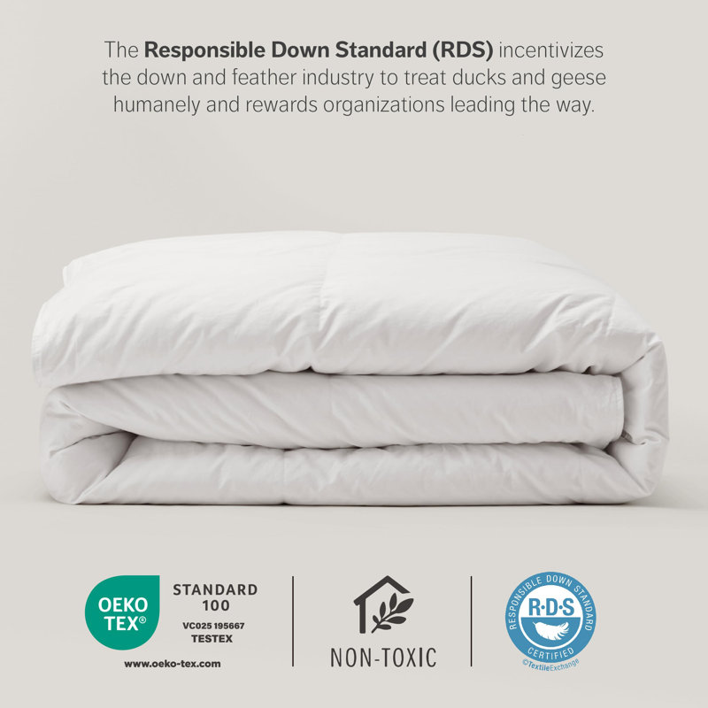 Bedsure Double Stitch Winter Warm Ultra-Soft Down Duvet Insert, 700 ...