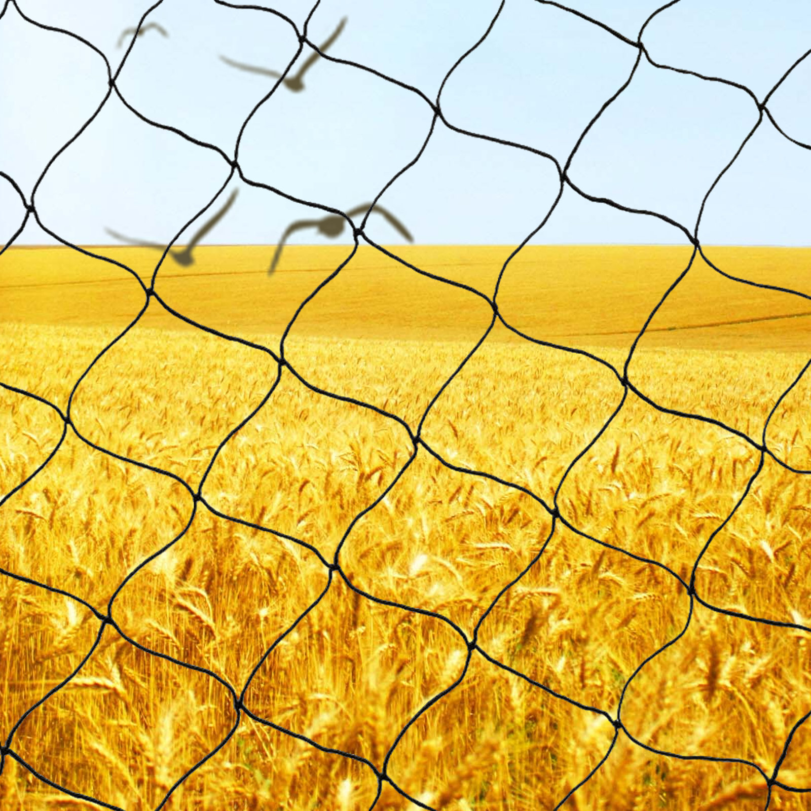 Arlmont & Co. Crop Orchard Net Bird Netting & Reviews | Wayfair