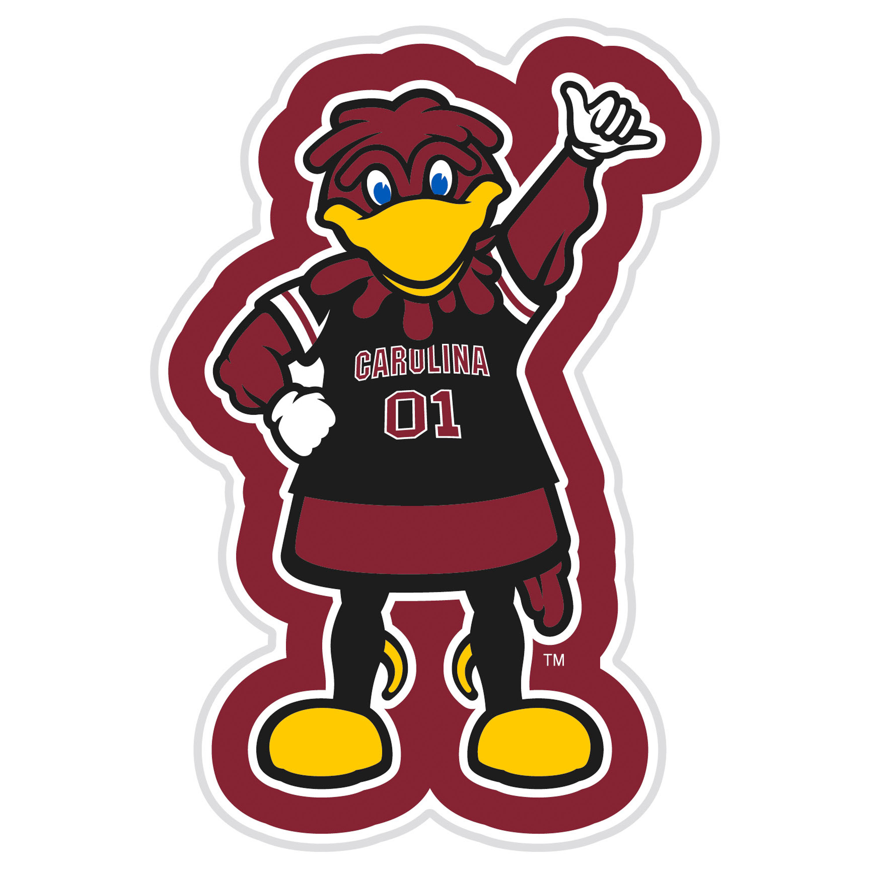 Evergreen Enterprises, Inc University of South Carolina College Mascot ...