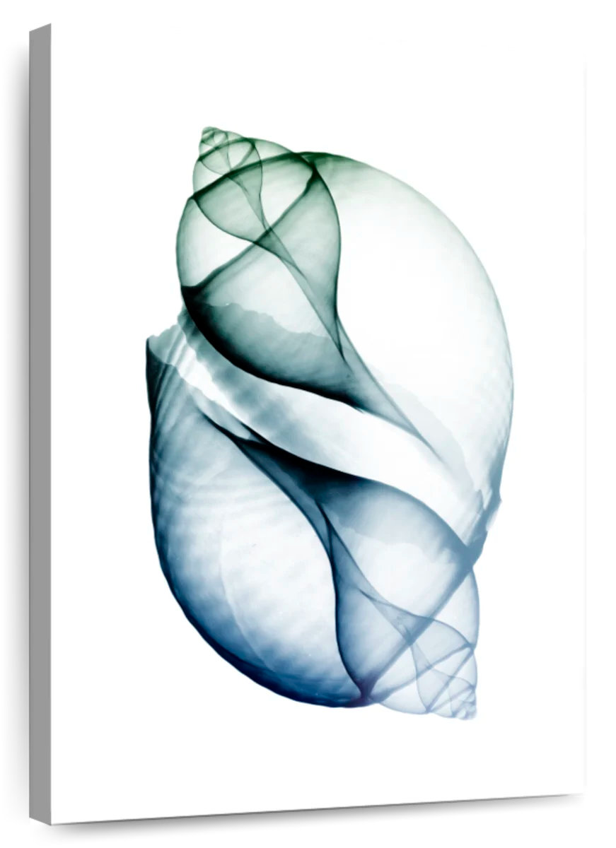 Breakwater Bay Aletra Crystal Breeze | Wayfair