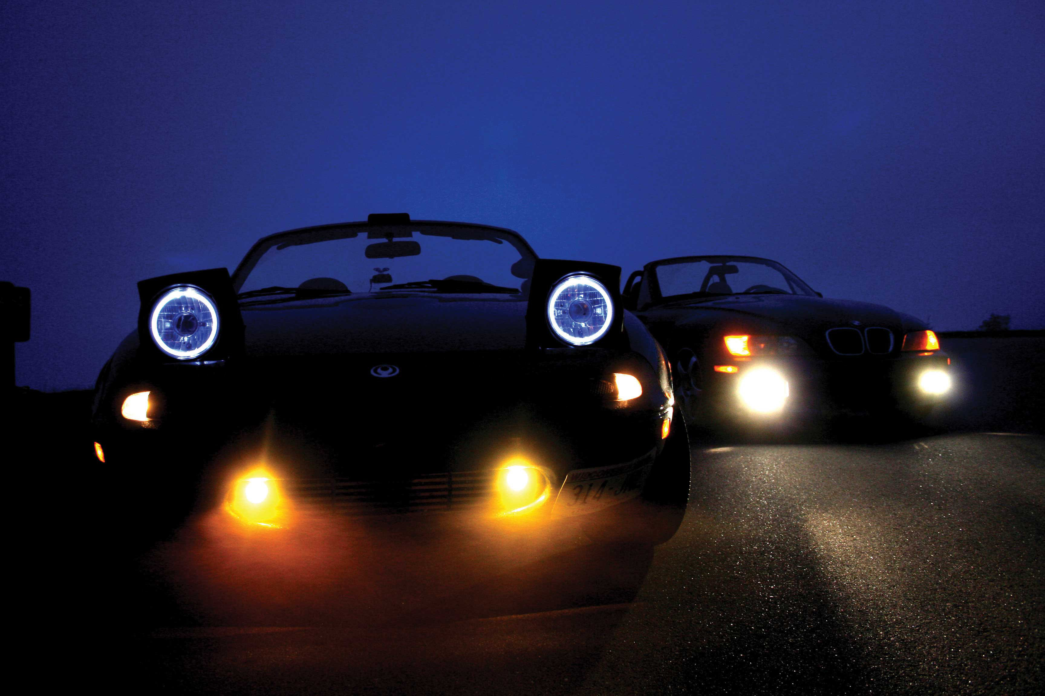 Ebern Designs Night Vision Wall Decal | Wayfair