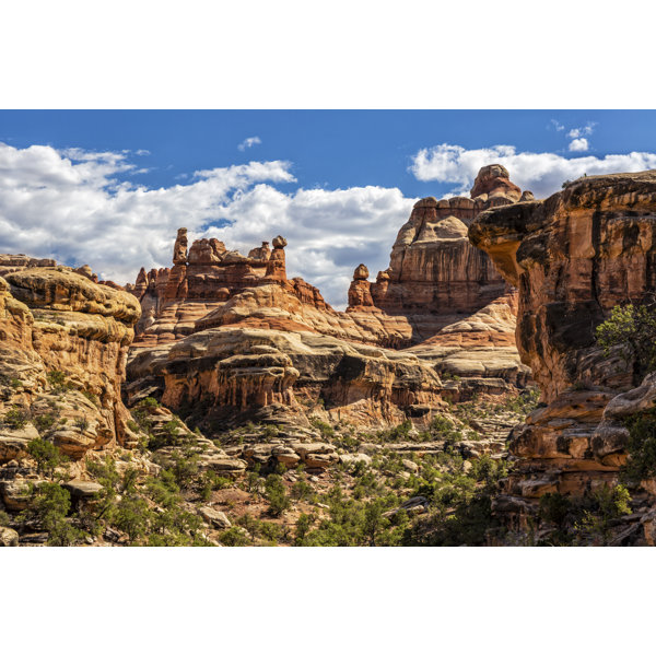 Natur Pur Elephant Canyon Spires by Lightphoto - Wrapped Canvas Print ...