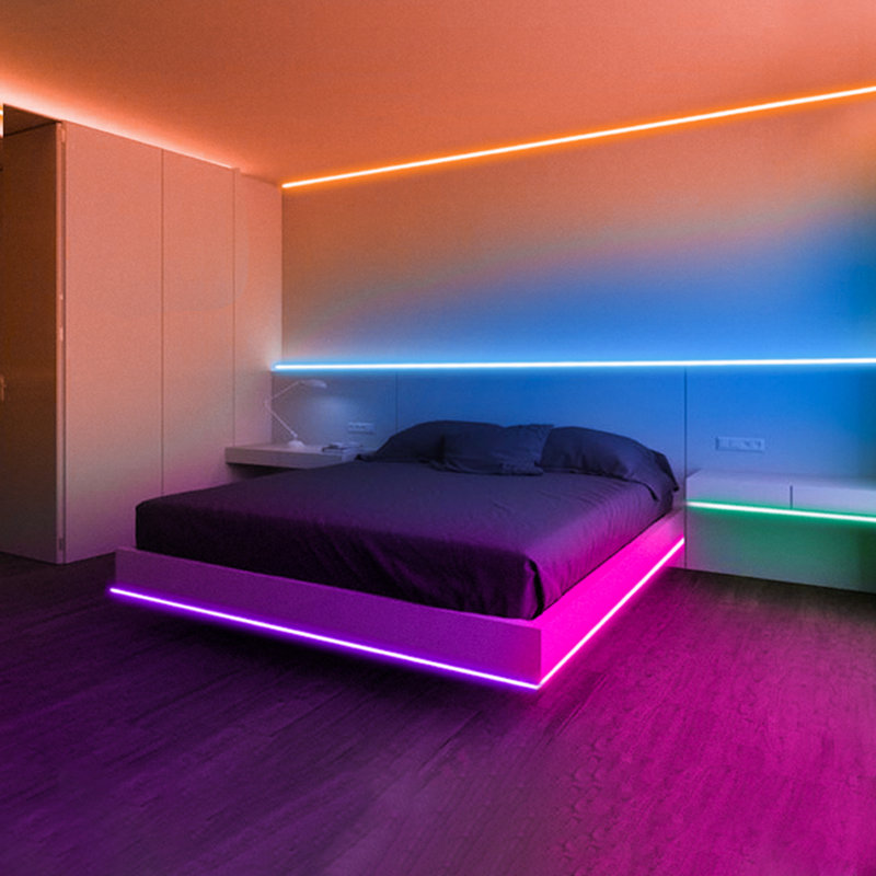 The Holiday Aisle® 16.5 ft RGB Rope Lights | Wayfair