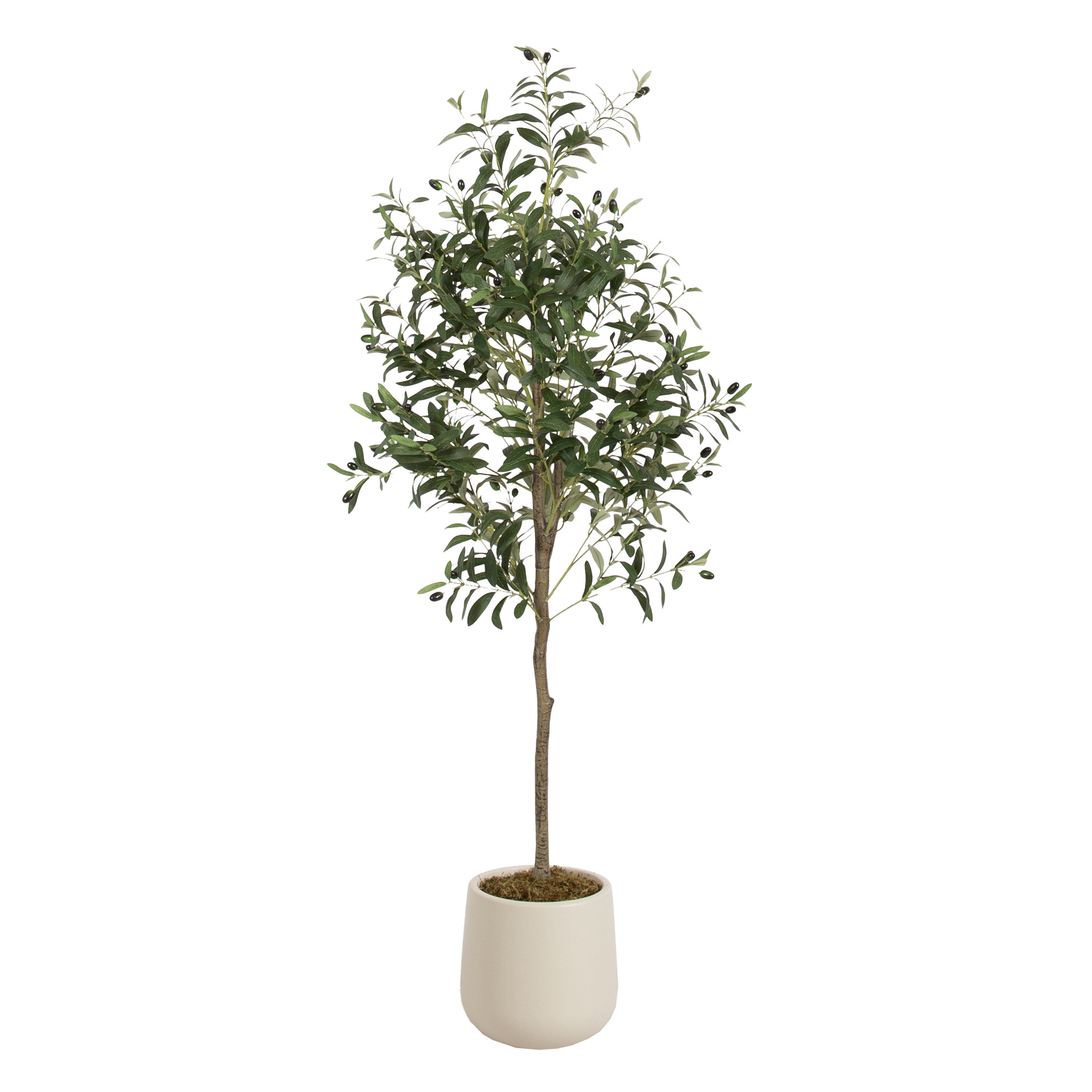 Primrue Adella Faux Olive Tree with Jia Curved Planter Pot - Wayfair Canada