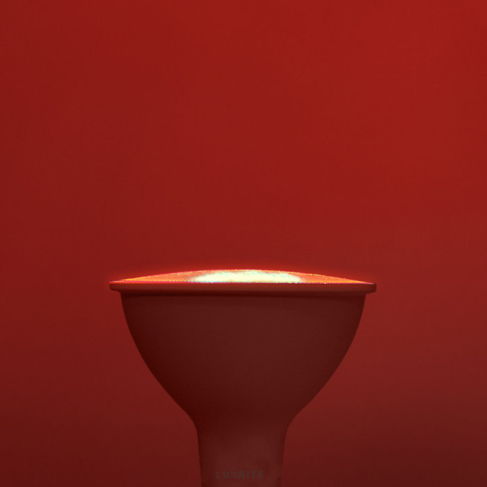 Luxrite 8 Watt (45 Watt Equivalent), PAR38 LED, Colored Flood Light ...