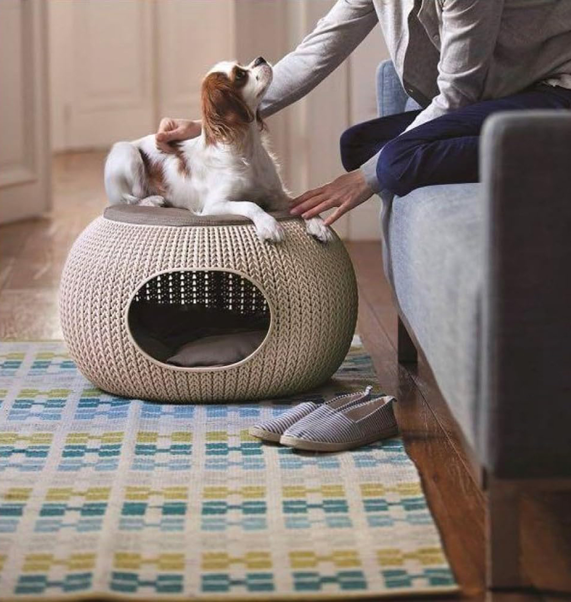 Keter Curver Knit Pet (dog/cat) Igloo Double Bed | Wayfair.co.uk