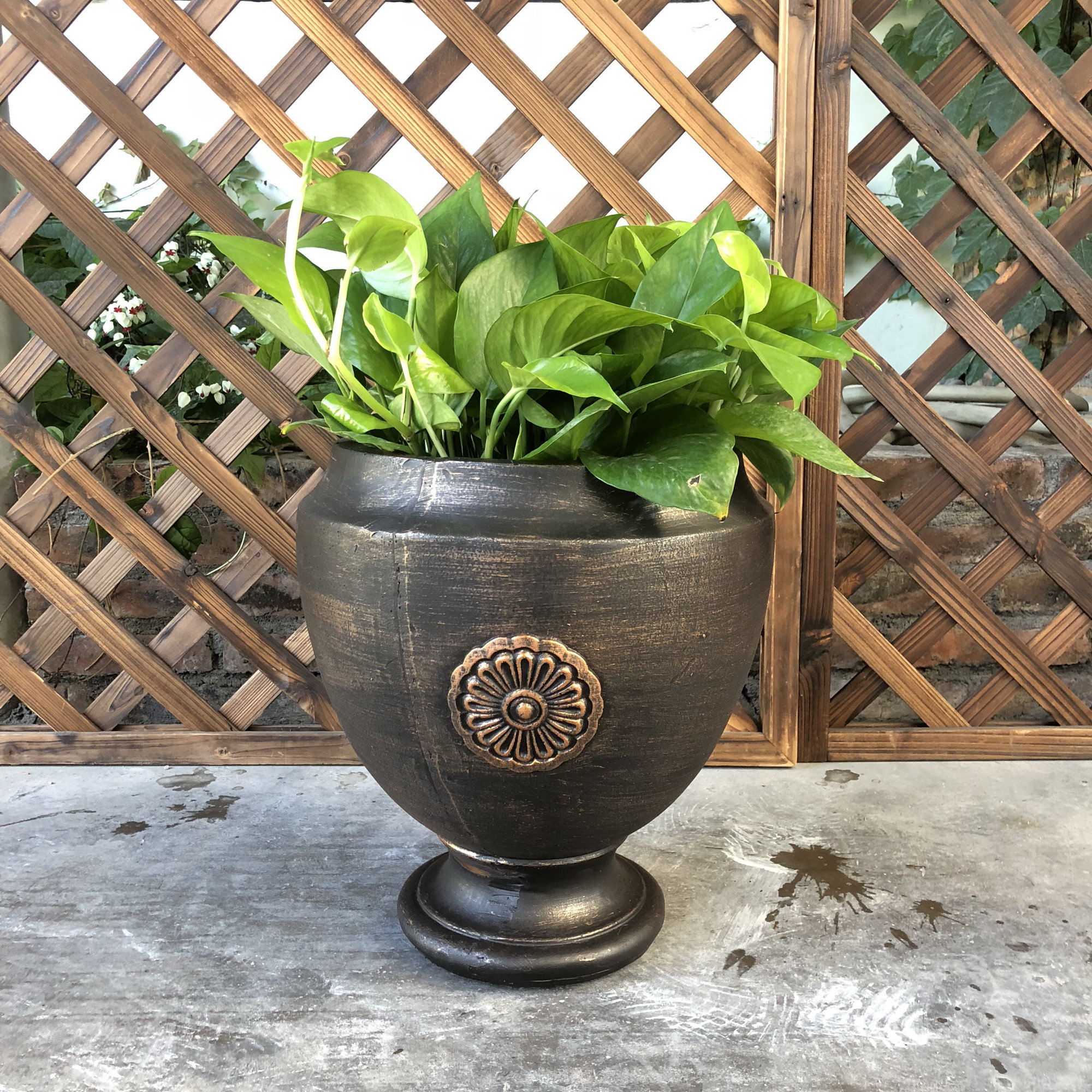 Fleur De Lis Living Callington Pot Planter - Wayfair Canada