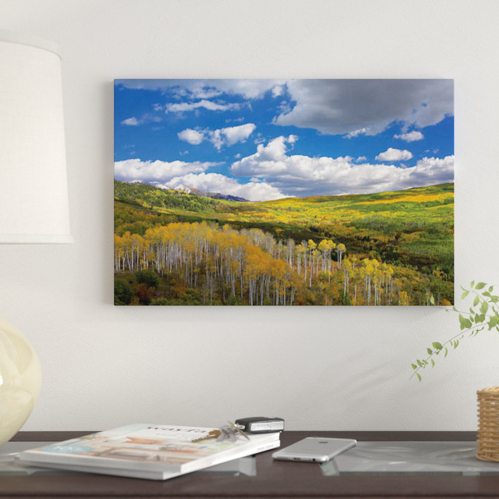 East Urban Home Gunnison National Forest in Fall, Colorado by Tim ...