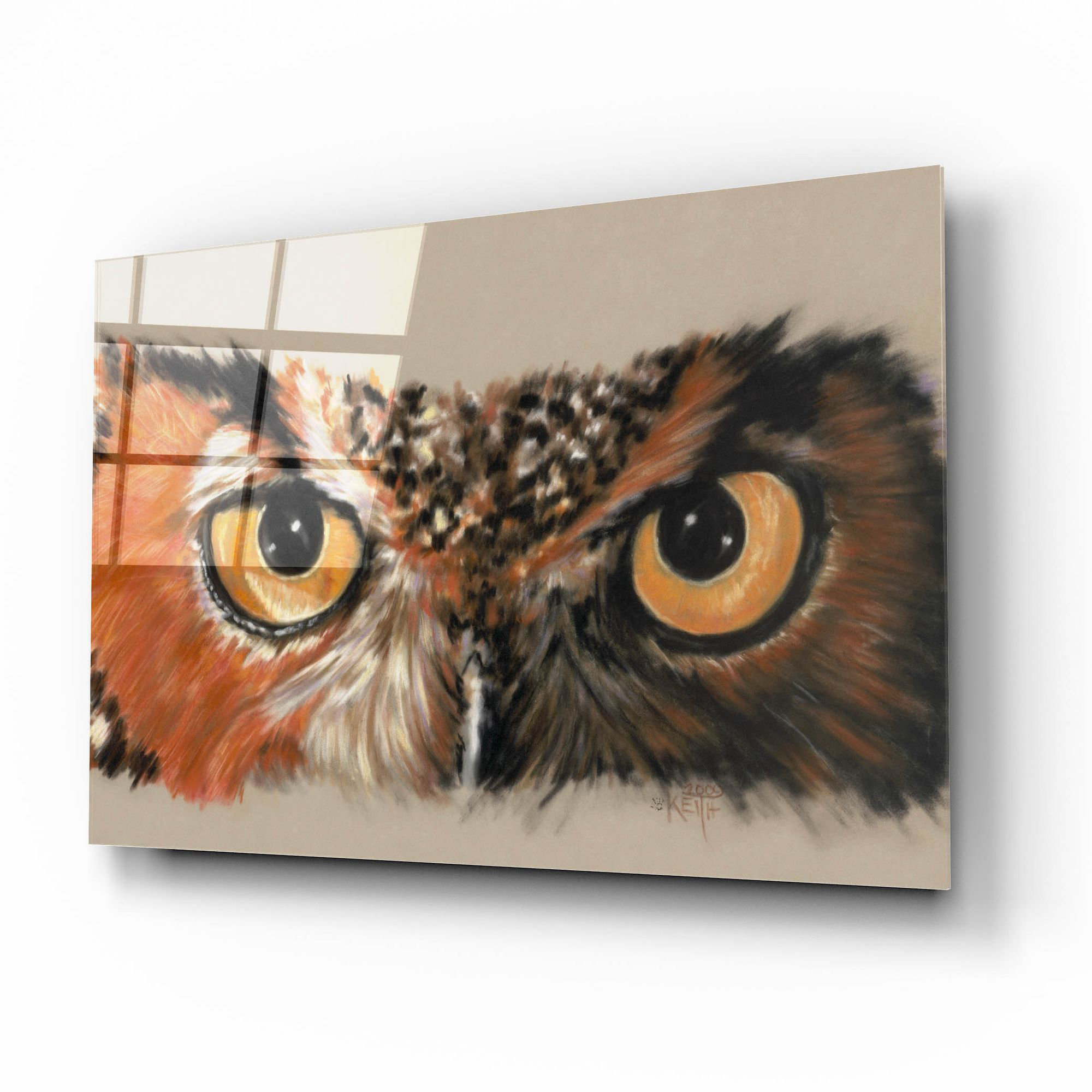 Millwood Pines Great Horned Owl On Plastic / Acrylic by Barbara Keith ...