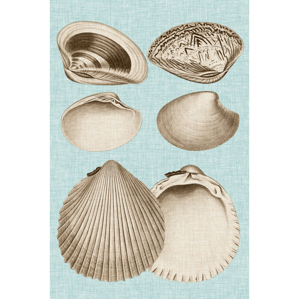 Highland Dunes Sepia & Aqua Shells IX | Wayfair.co.uk