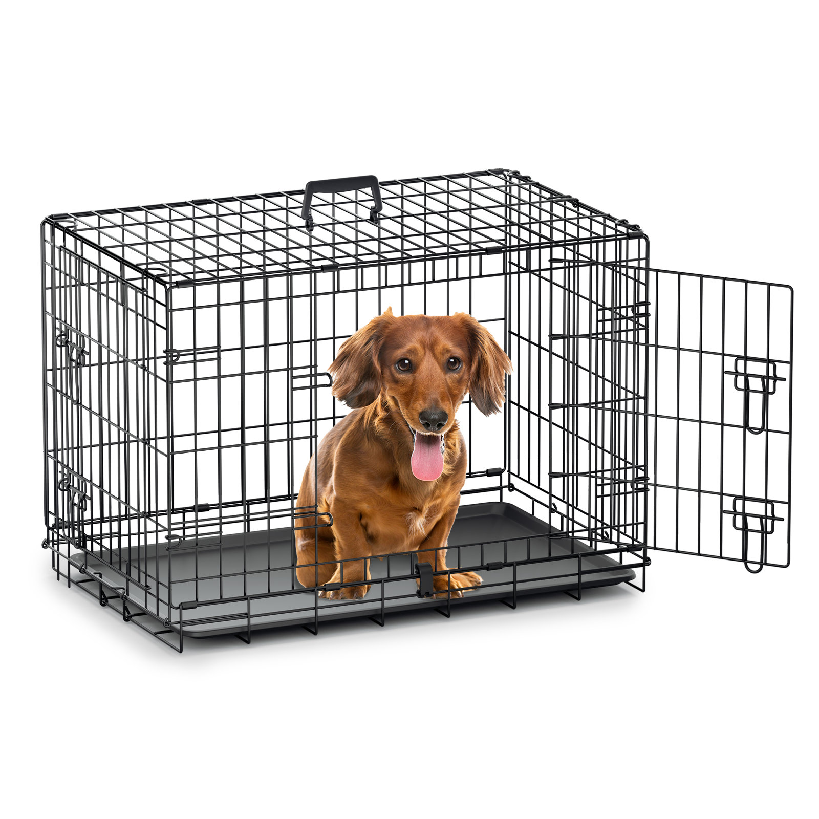 Tucker Murphy Pet™ Cage pliante en métal pour chien - Wayfair Canada