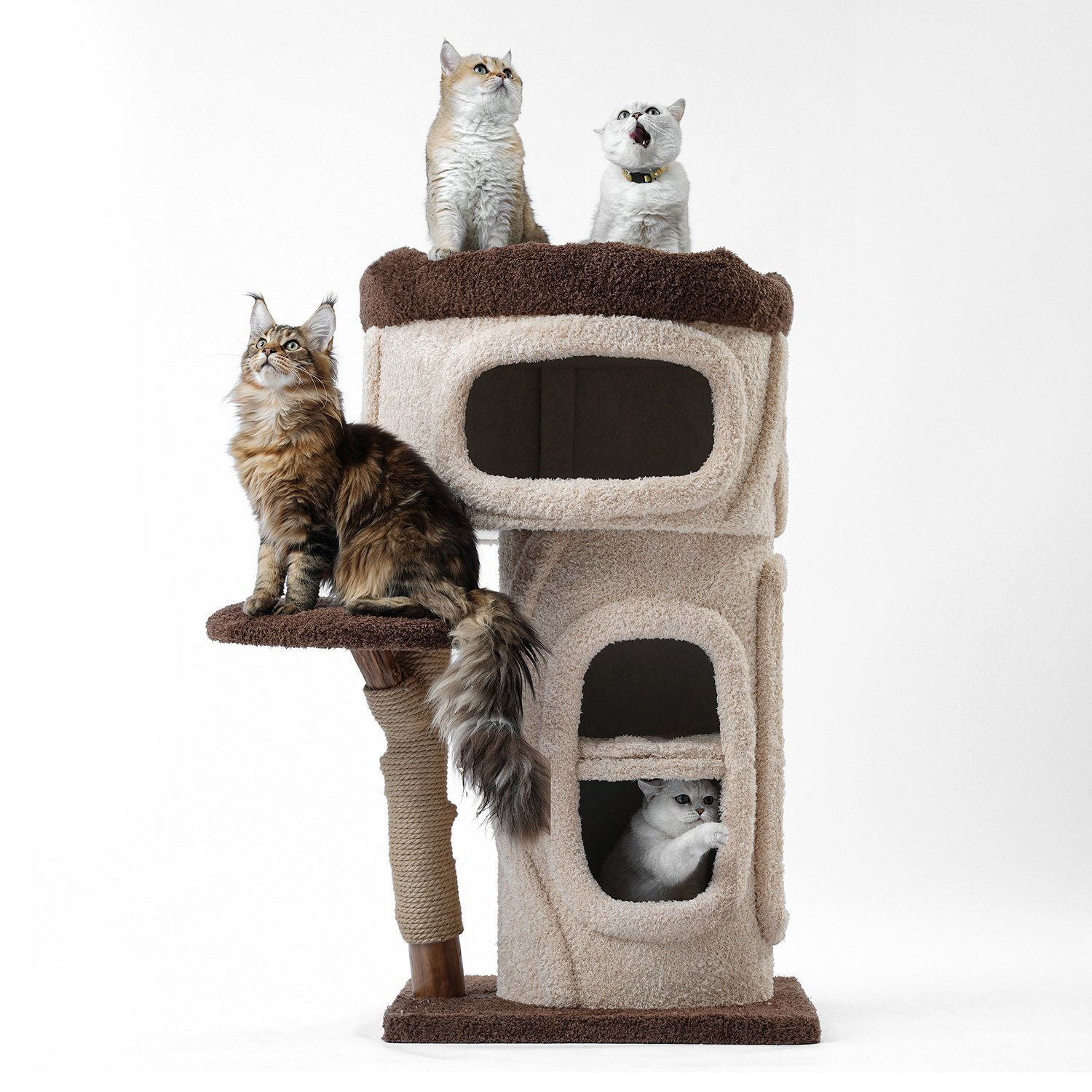 KZLAA 44'' H Solid Wood Cat Tree / Multi Cat Condo Warm Cat Climbing ...