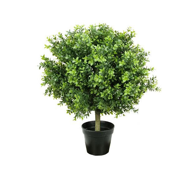 Northlight 24" Potted Two-Tone Artificial Murraya Ball Topiary Tree ...