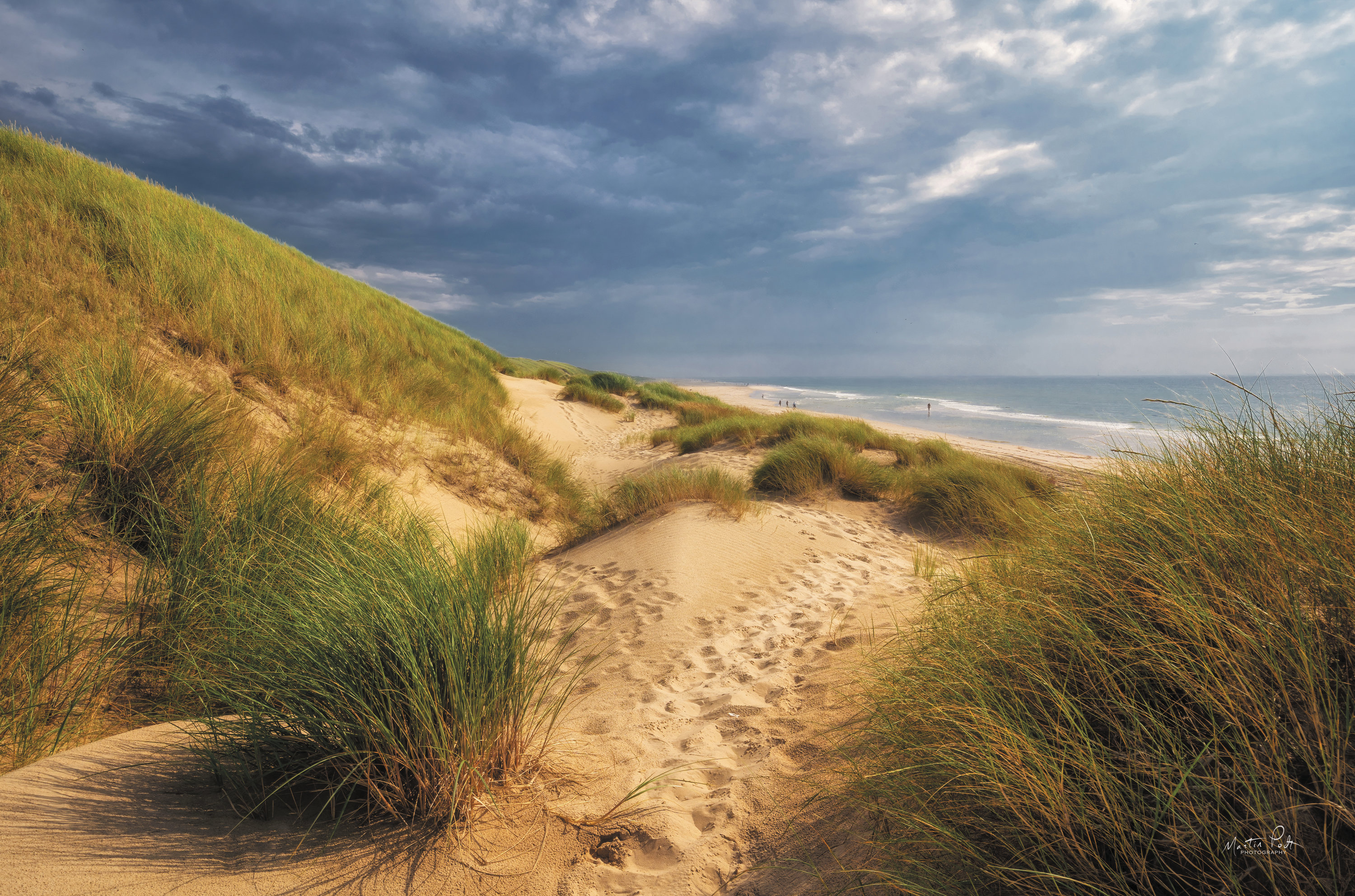 Rosecliff Heights The Dutch North Sea Coast II | Wayfair