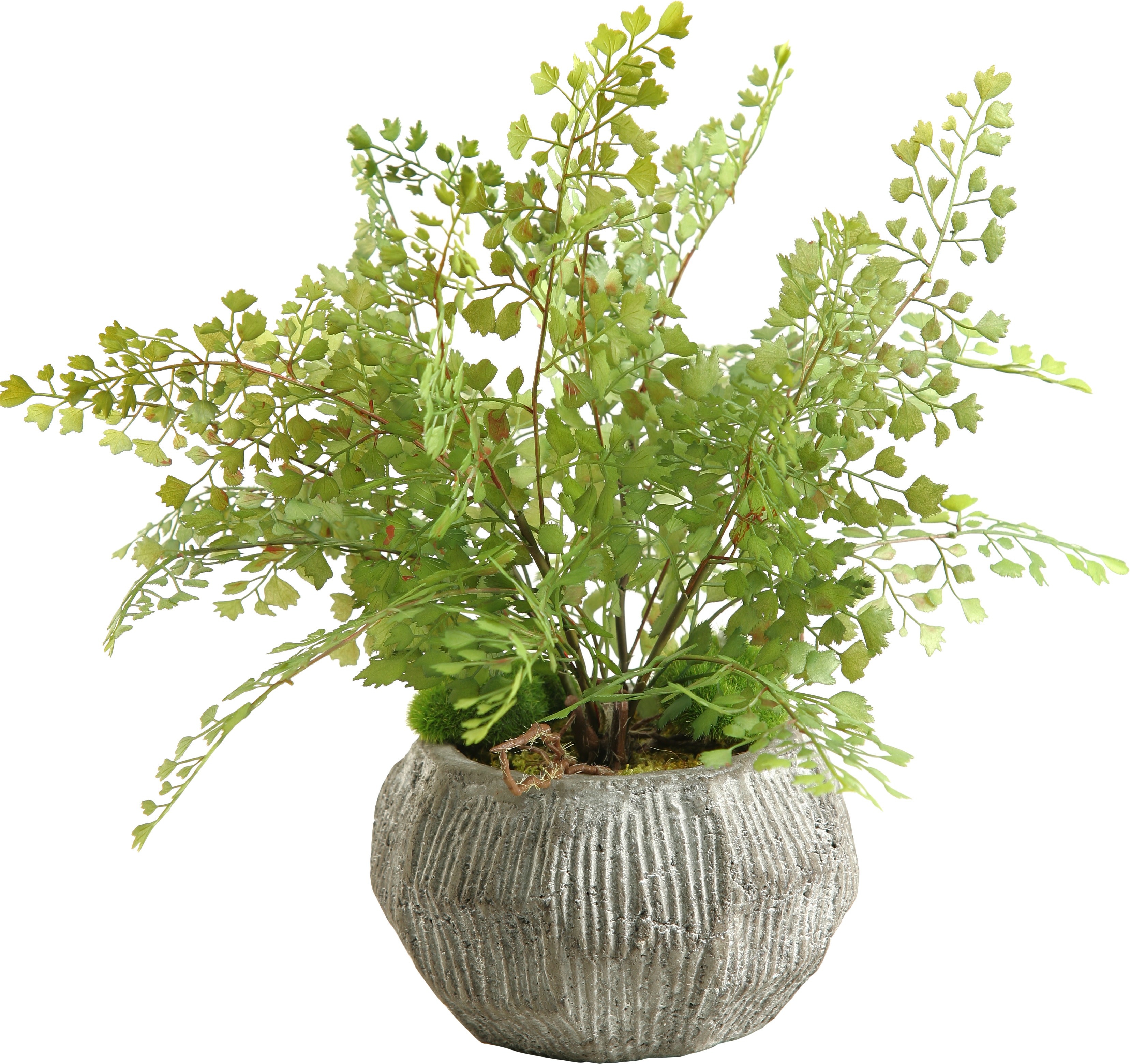 Symple Stuff Yoshida Artificial Fern Plant in Planter & Reviews ...